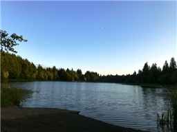 6839 Munn Lake Drive SE, Olympia, WA 98501